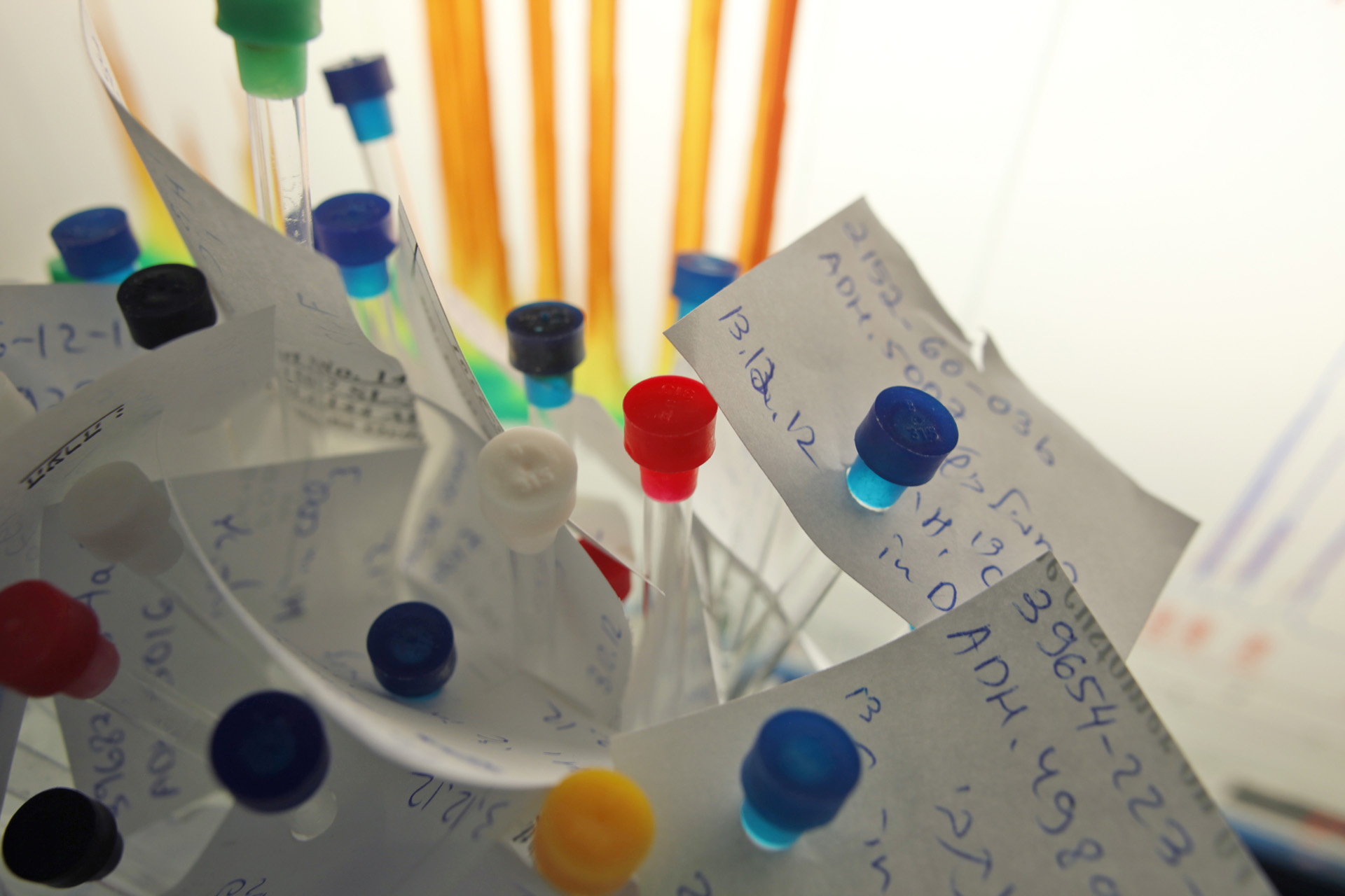 Structure Elucidation